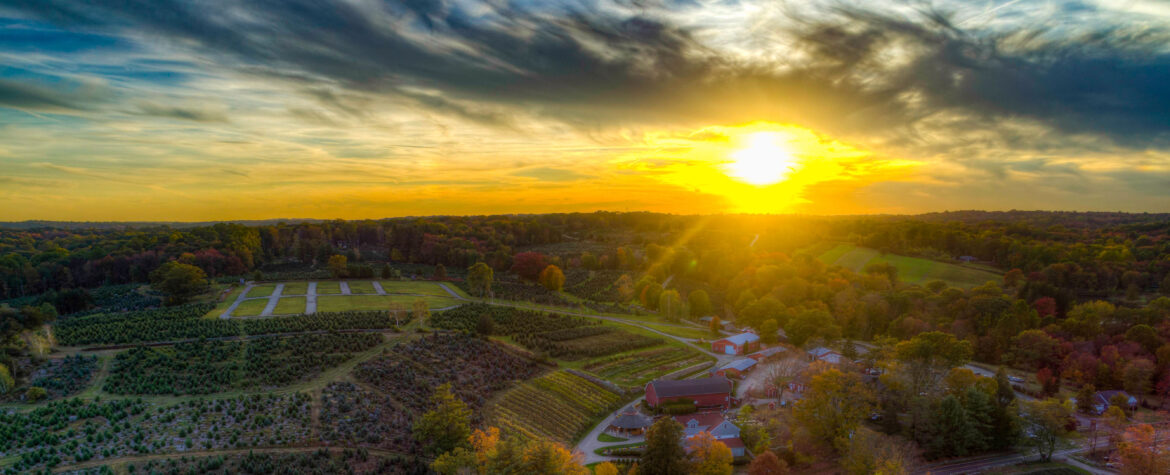 Jones Winery - Connecticut (CT) Wine Trail