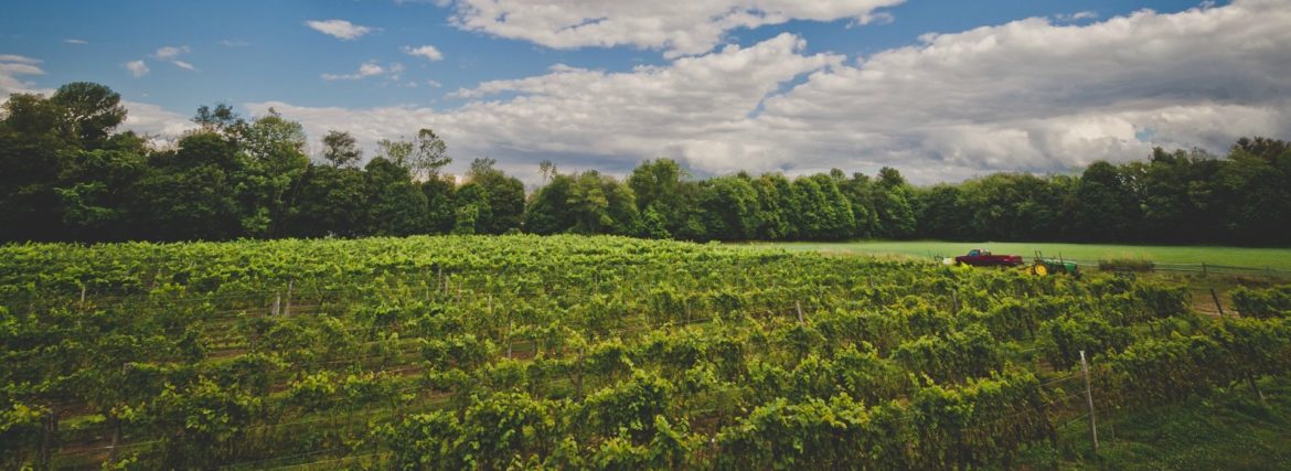 Contact - Connecticut (CT) Wine Trail